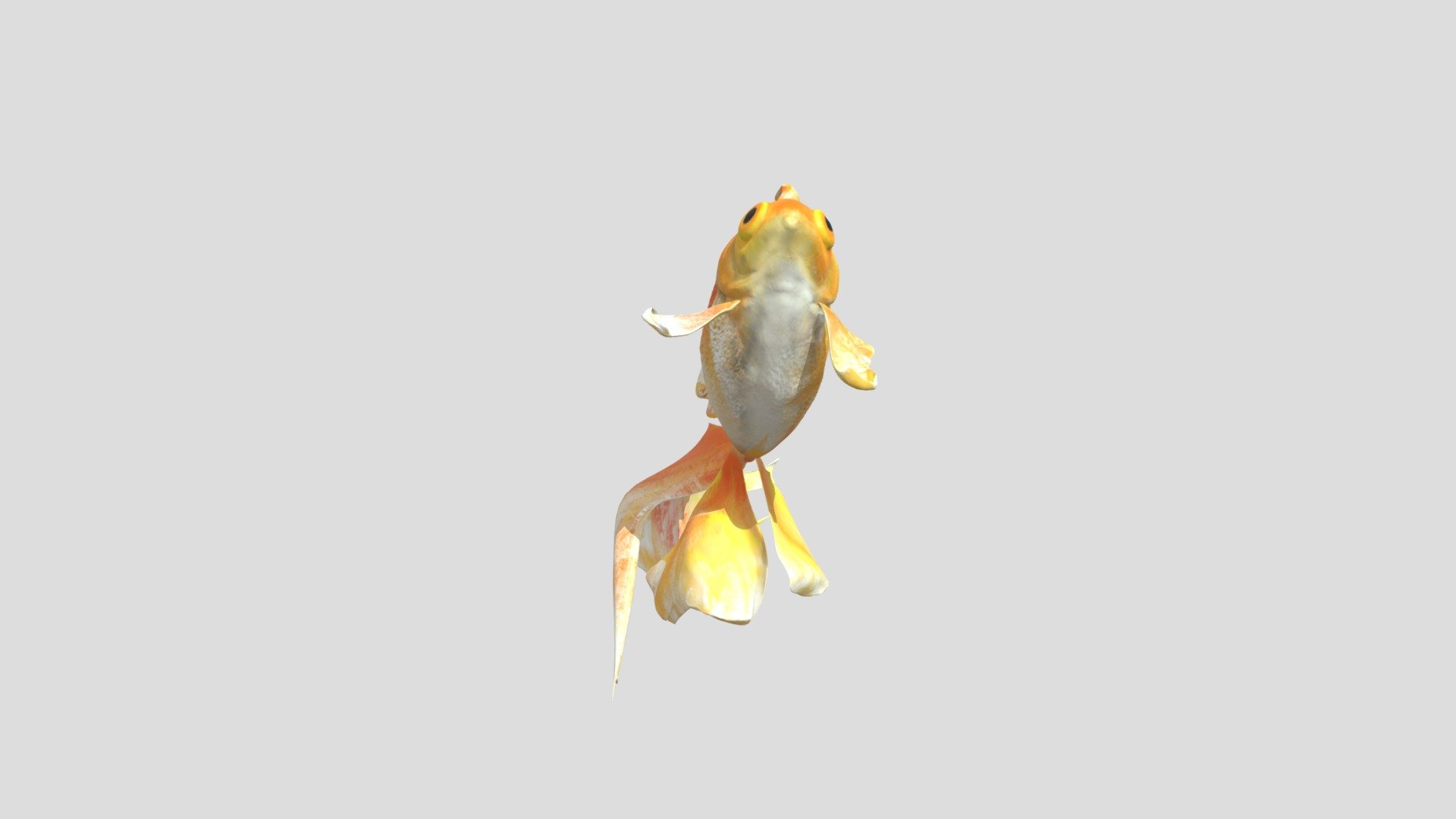Veiltail fish - 3D model by roshik (@roshikhuyoshik) [0ab7a04] - Sketchfab