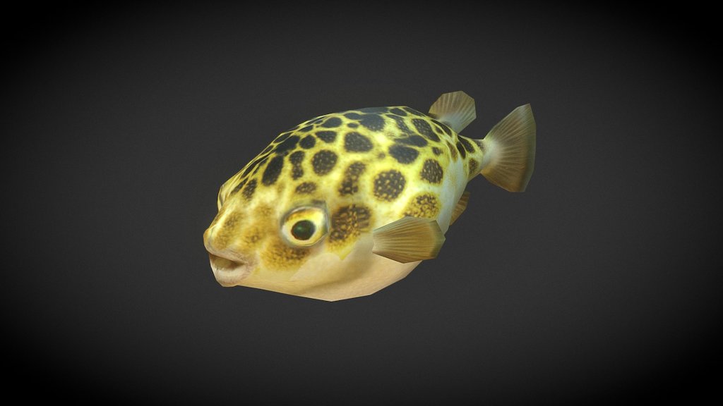 Puffer Fish - 3D model by YOURS (@double2) [0abbab9] - Sketchfab
