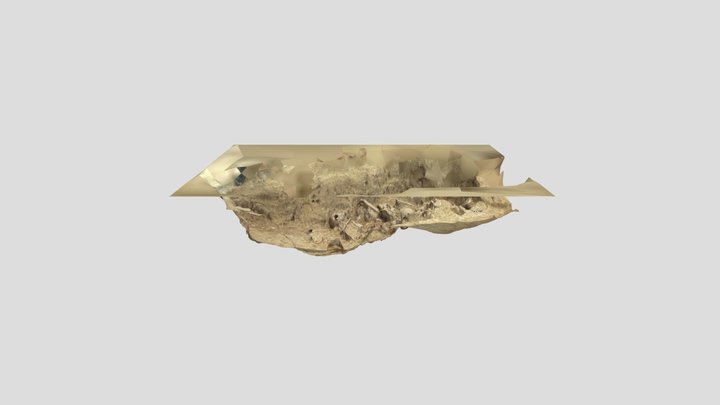 Fossa 3D models - Sketchfab