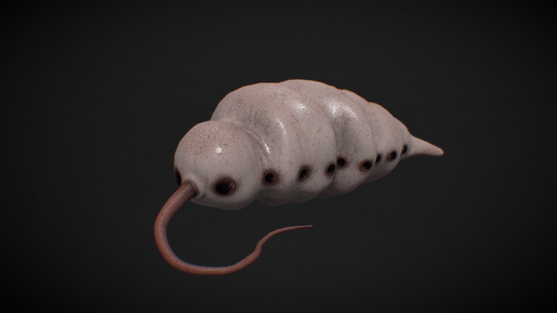 Larvae - 3D model by Matti Pesonen (@MattiPesonen) [0ad6401] - Sketchfab