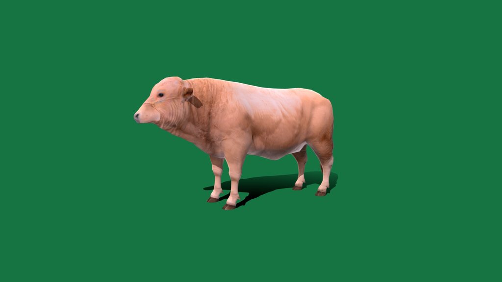 Farm Domestic Animal - A 3D model collection by Nyilonelycompany - Sketchfab