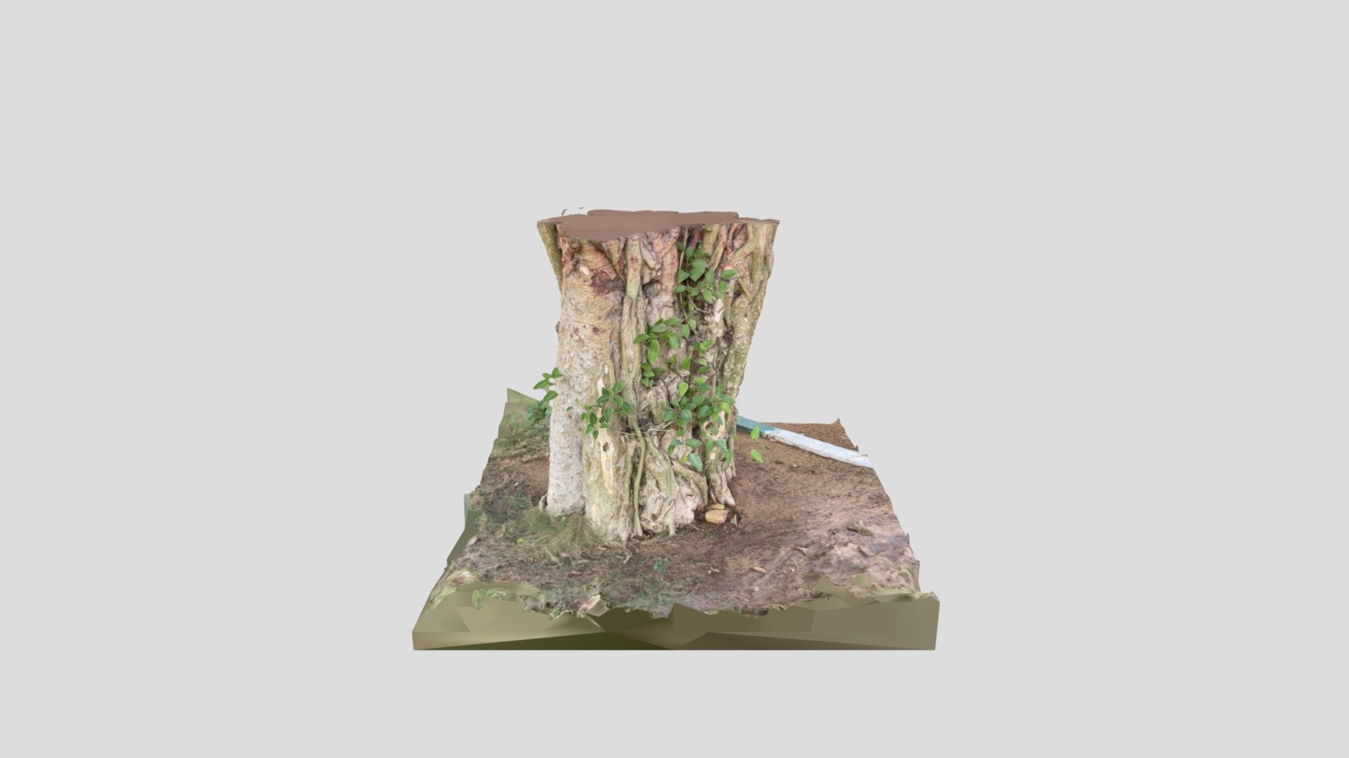 Tree Stump - Download Free 3D model by abdullahak2268 [0ae37c9] - Sketchfab