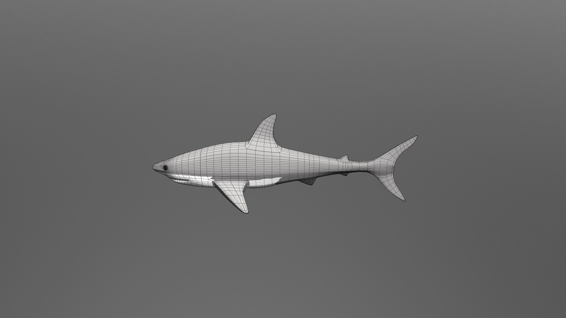 Shark Modelling - 3D model by stellawang [0ae4051] - Sketchfab