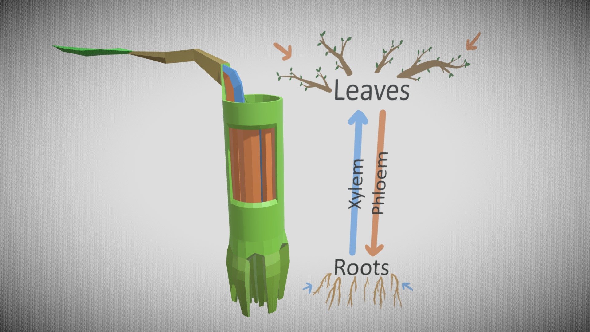 plant transportation - 3D model by isparklekidz [0ae6fa1] - Sketchfab