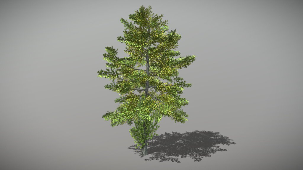 nature - A 3D model collection by apo11o - Sketchfab