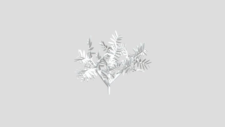 Neem-tree-3d-model 3D models - Sketchfab