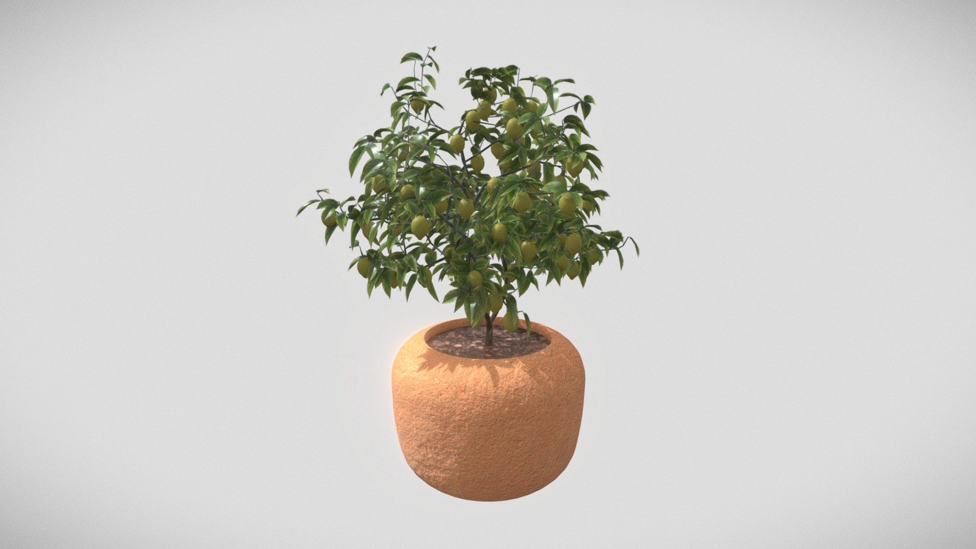 Lachen Beton - vazon - 3D model by iA2MX [0b05a73] - Sketchfab