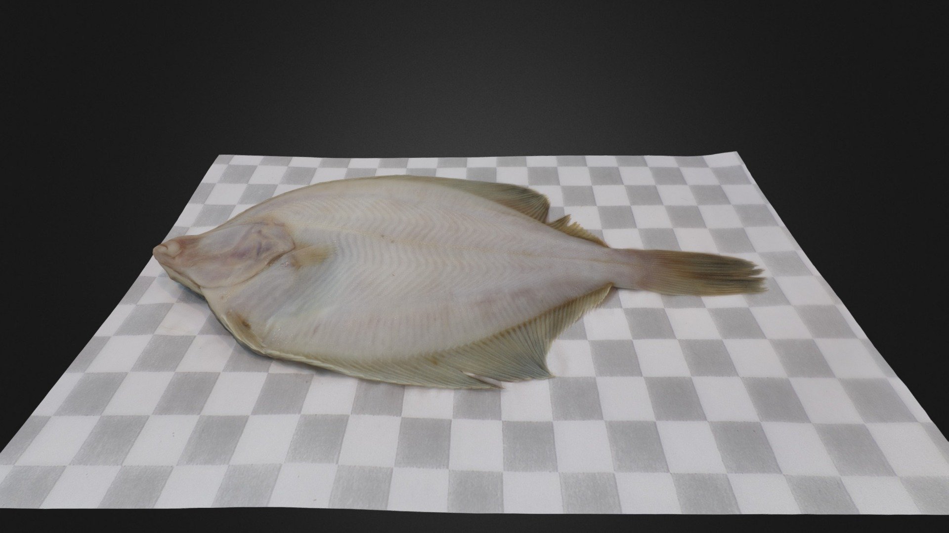 Plaice underside - Download Free 3D model by Amy Scott-Murray ...