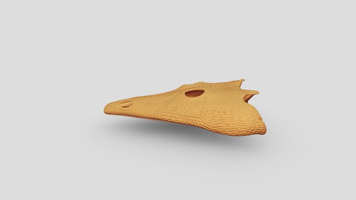 Temnospondyl 3D models - Sketchfab