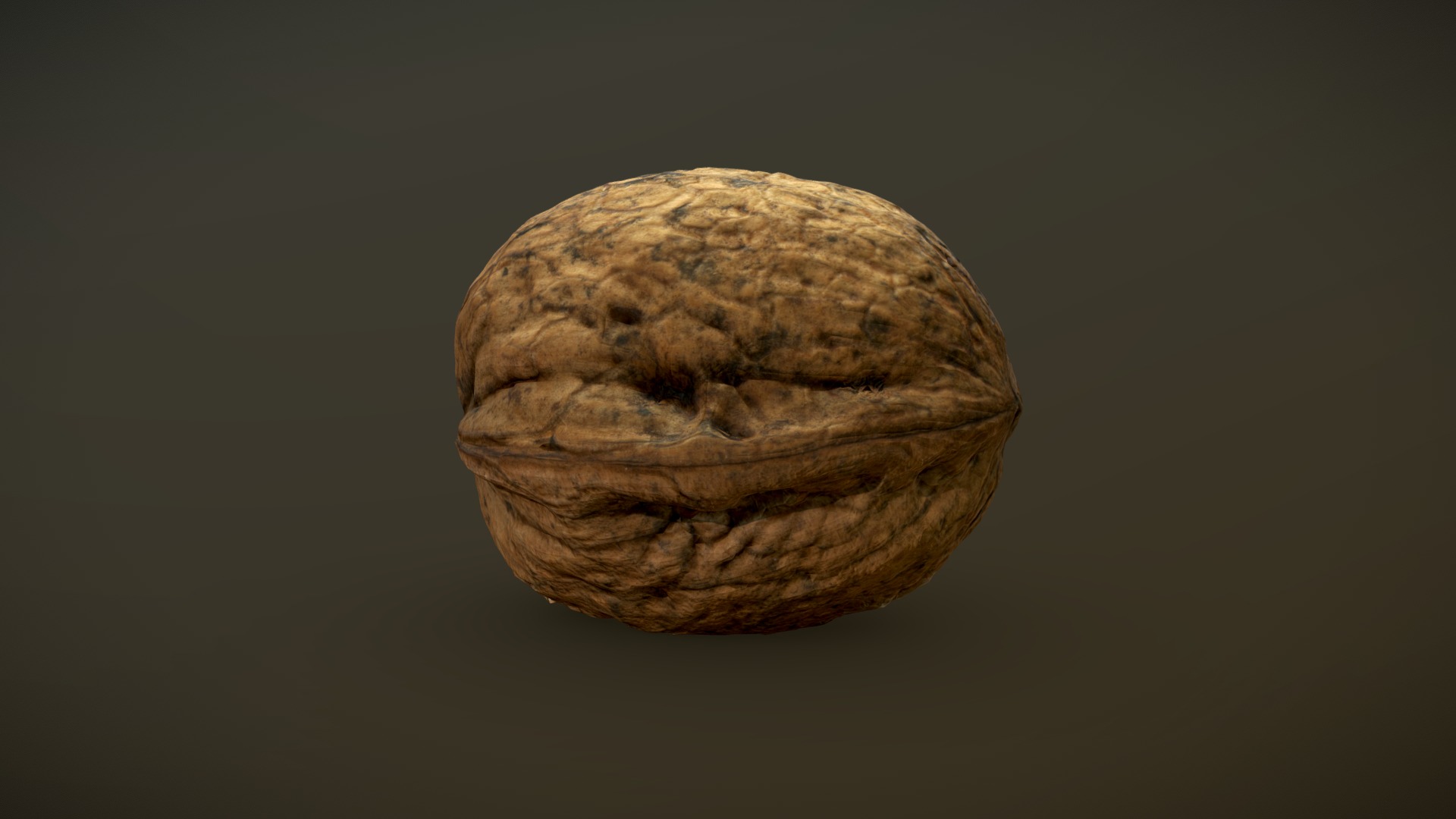 Walnut Photogrammetry - Download Free 3D model by Rick Hoppmann ...