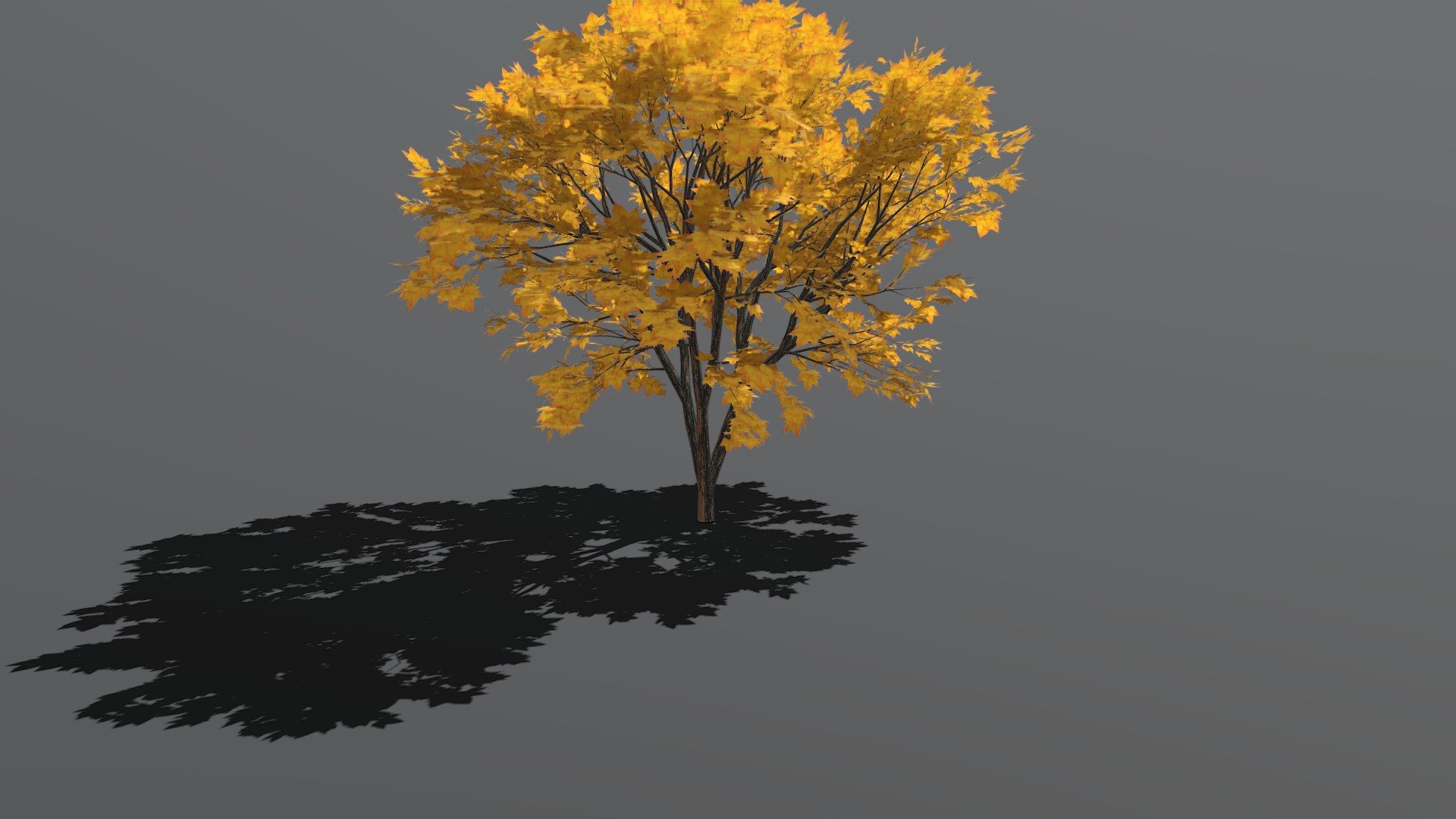 Tree beautiful - 3D model by Real state gamerz (@REALstategamerz ...