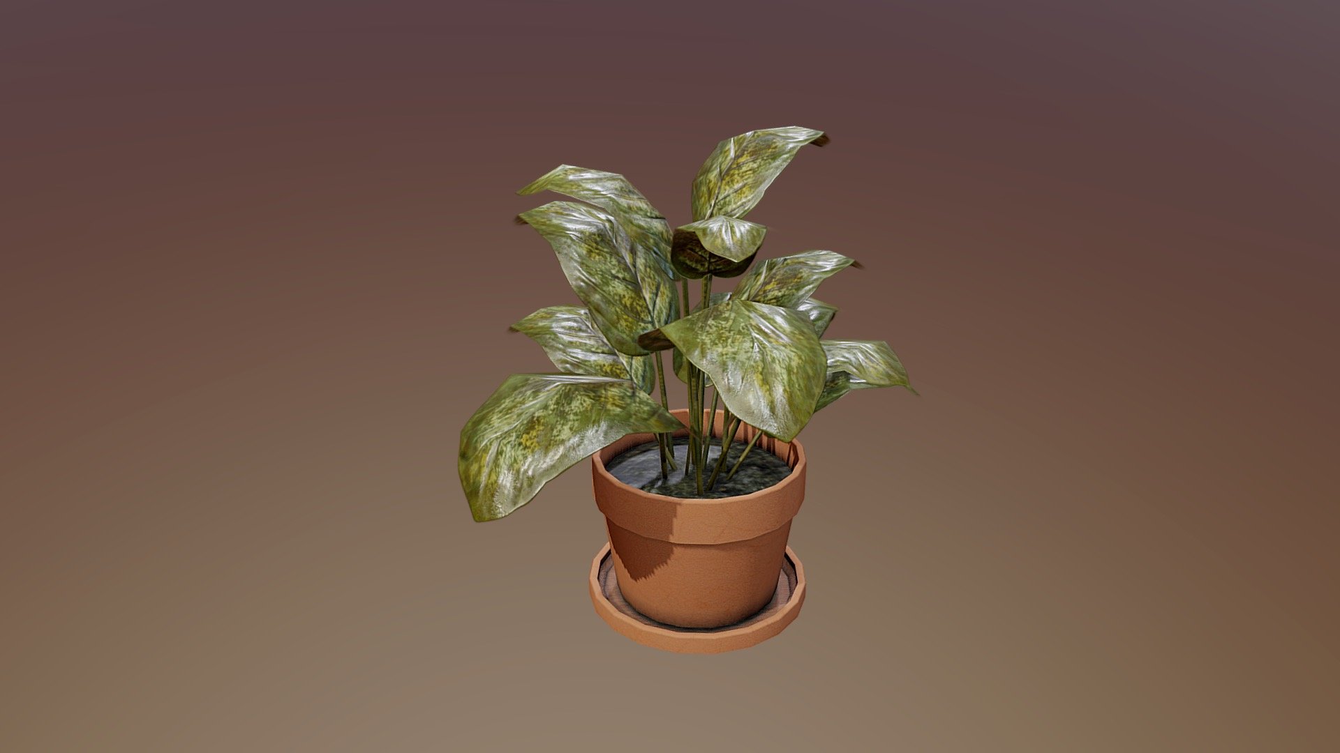 House Plant - 3D model by pixelful [0b261c9] - Sketchfab