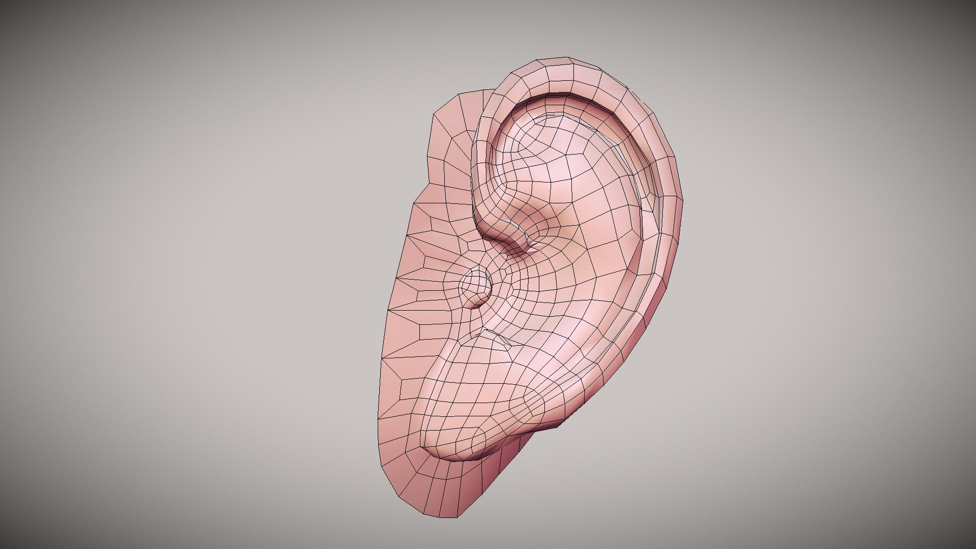 Ear - Download Free 3D model by Tony (@TonySv) [0b2afdb] - Sketchfab