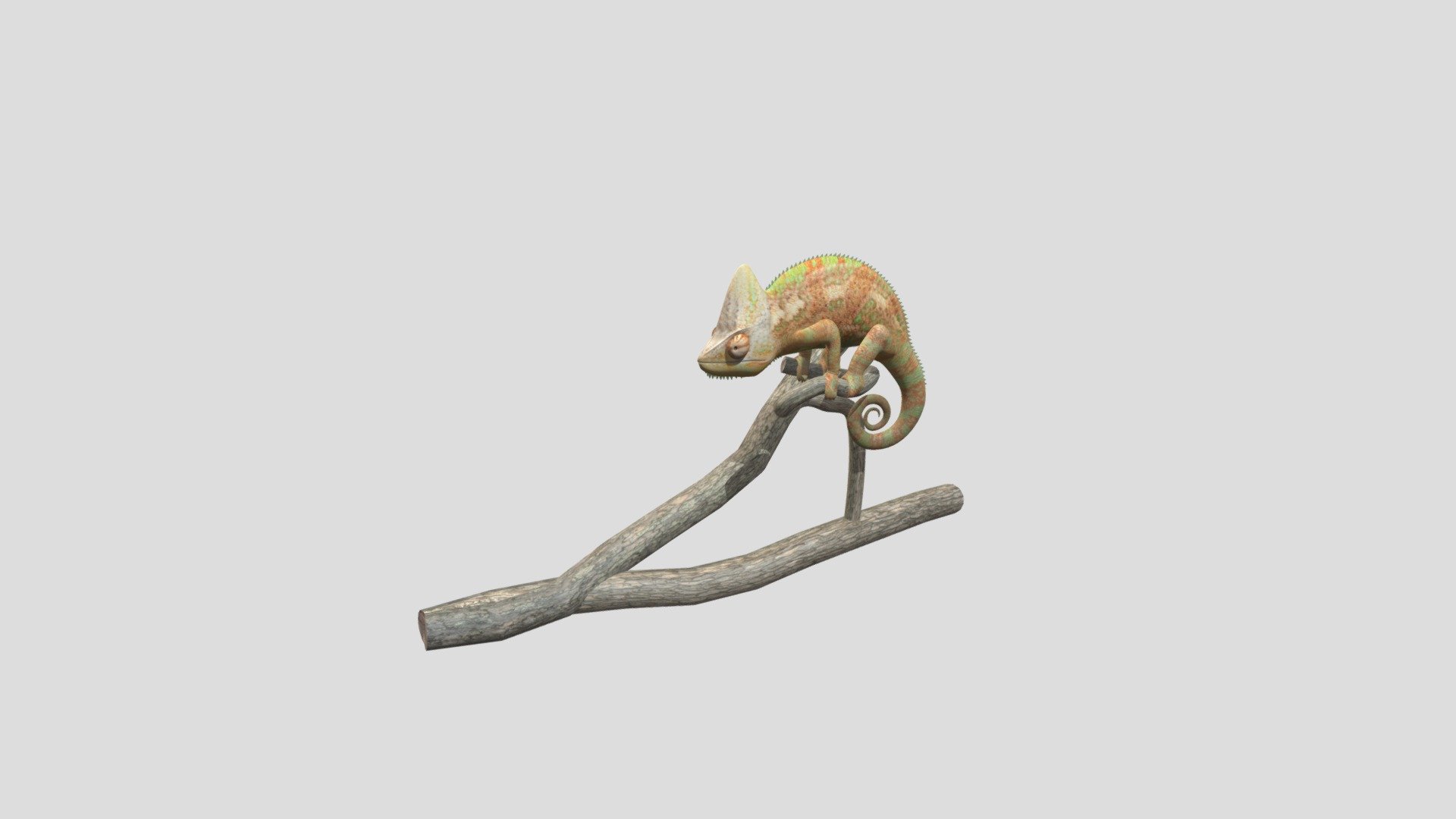 chameleon - 3D model by MMCNM [0b2d35e] - Sketchfab