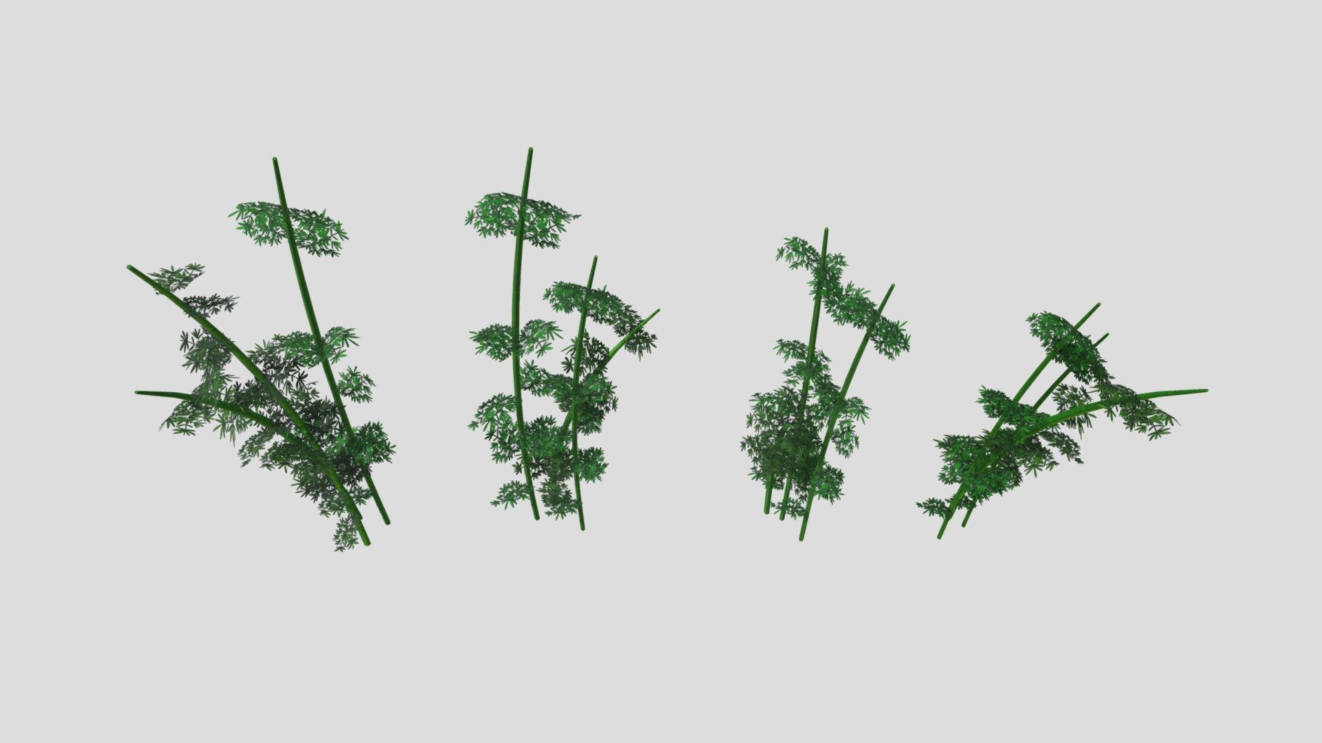 bamboo - 3D model by ZacK6612 [0b381a3] - Sketchfab
