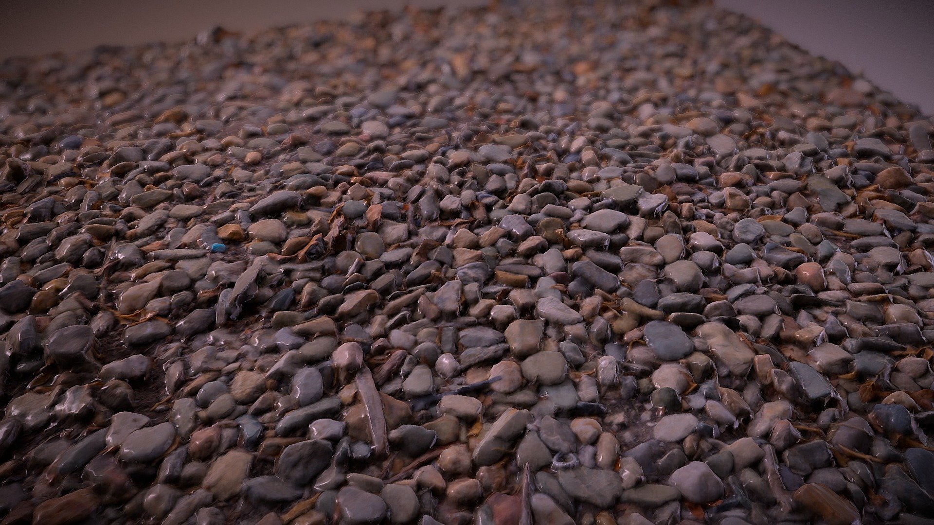Reality Capture Pebble Test - 3D model by Finn Spencer (@theironpaw ...