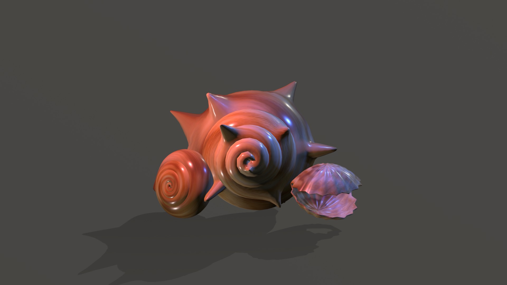 Shells - Download Free 3D model by laura (@laura_) [0b3cc48] - Sketchfab