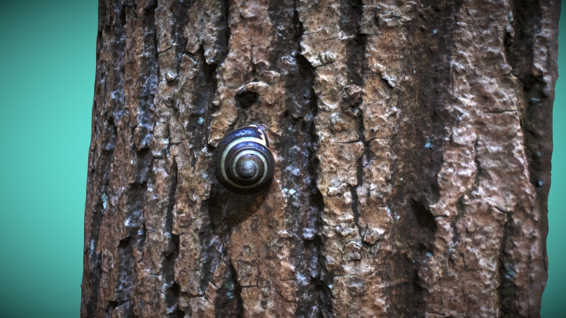 Snail on a Tree 1 - 3D model by gspeed0689 [0b3de94] - Sketchfab