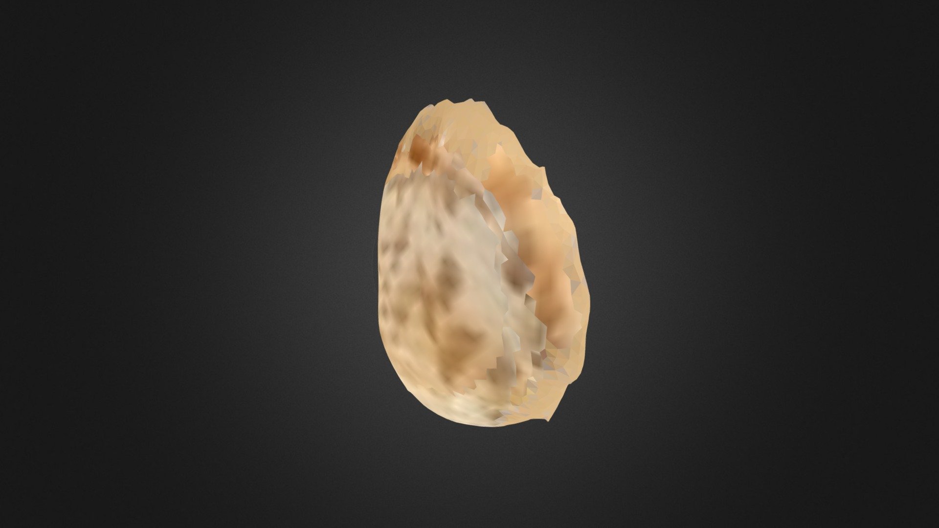 Venus toreuma Gould, 1851 - 3D model by 3D collection (@phanh1711999) [0b3eb60] - Sketchfab