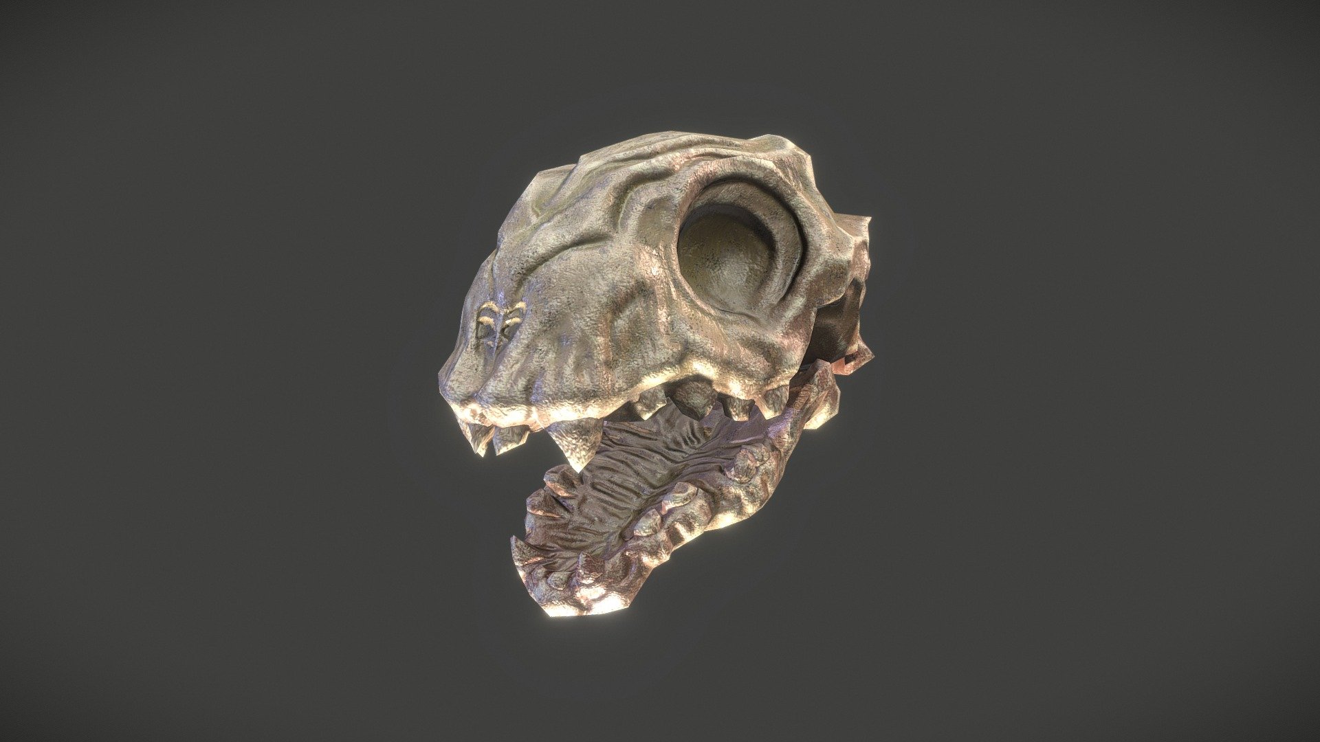 animal skull - 3D model by OlivierF [0b4b1e0] - Sketchfab