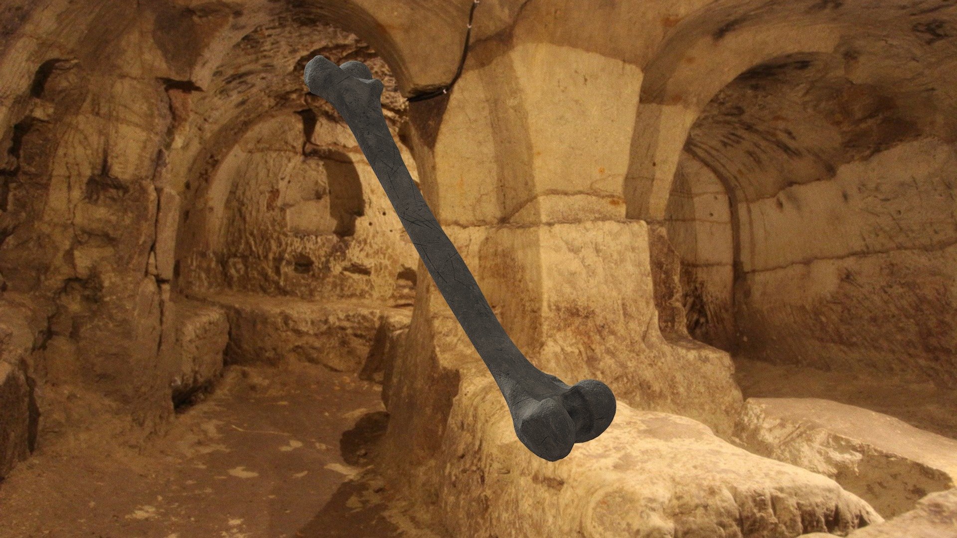 Femur - 3D model by L'Atelier 5D (@lesateliers3d_officiel) [0b57bc8 ...