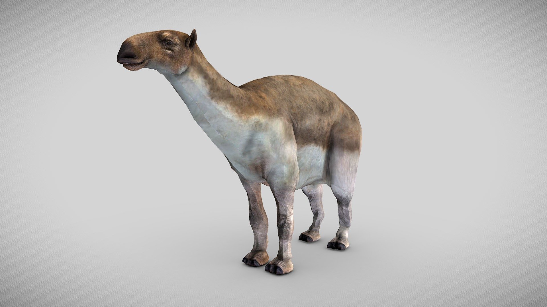 Macrauchenia Patachonica Rigged Buy Royalty Free 3d Model By Iofry