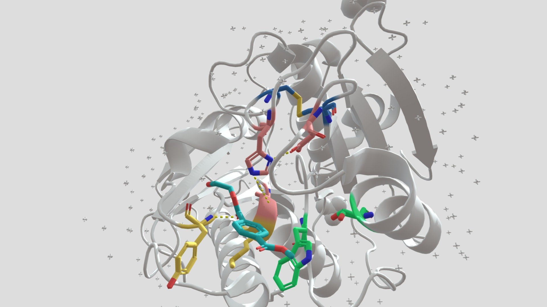 PETase Enzyme - 3D model by sichamnata [0b5c0b6] - Sketchfab