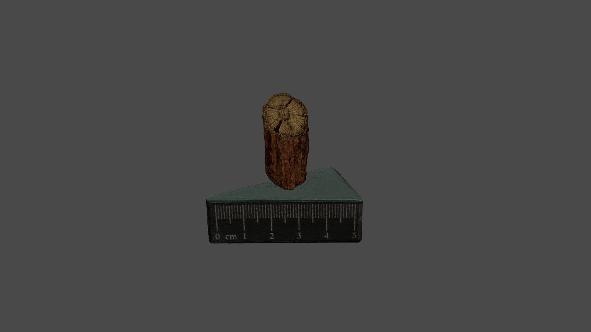 สะค้าน scale bar - Download Free 3D model by 65201101047 [0b5d48b ...