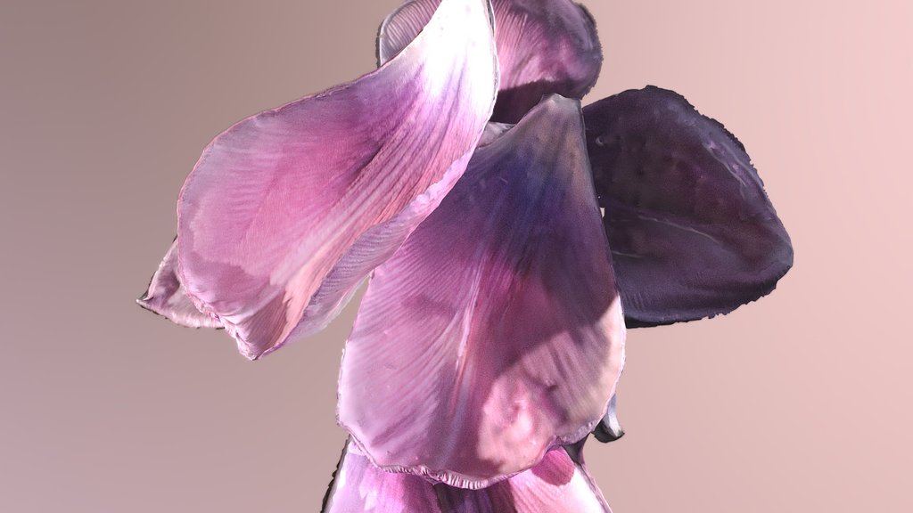 flower - A 3D model collection by xiaohe2320 - Sketchfab