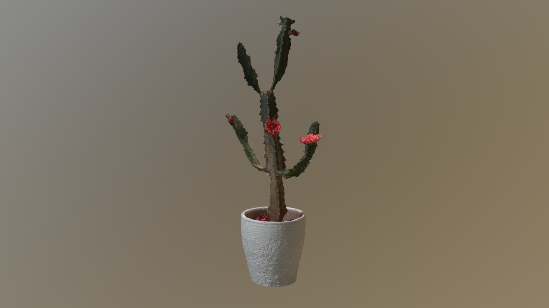 Some random cactus - Download Free 3D model by maxxUAV [0b6dfbe ...