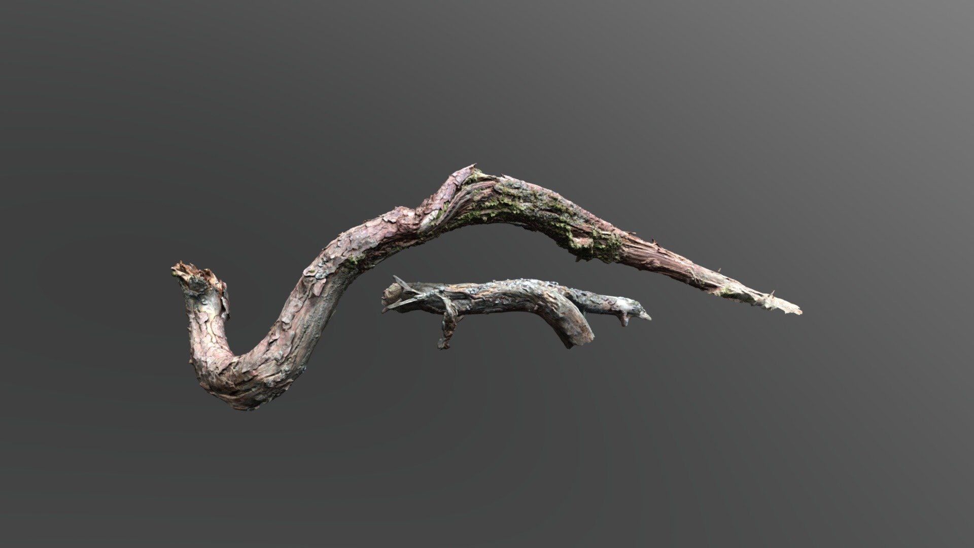 3D Scan Nature Asset 0005 - Buy Royalty Free 3D model by 3drille ...