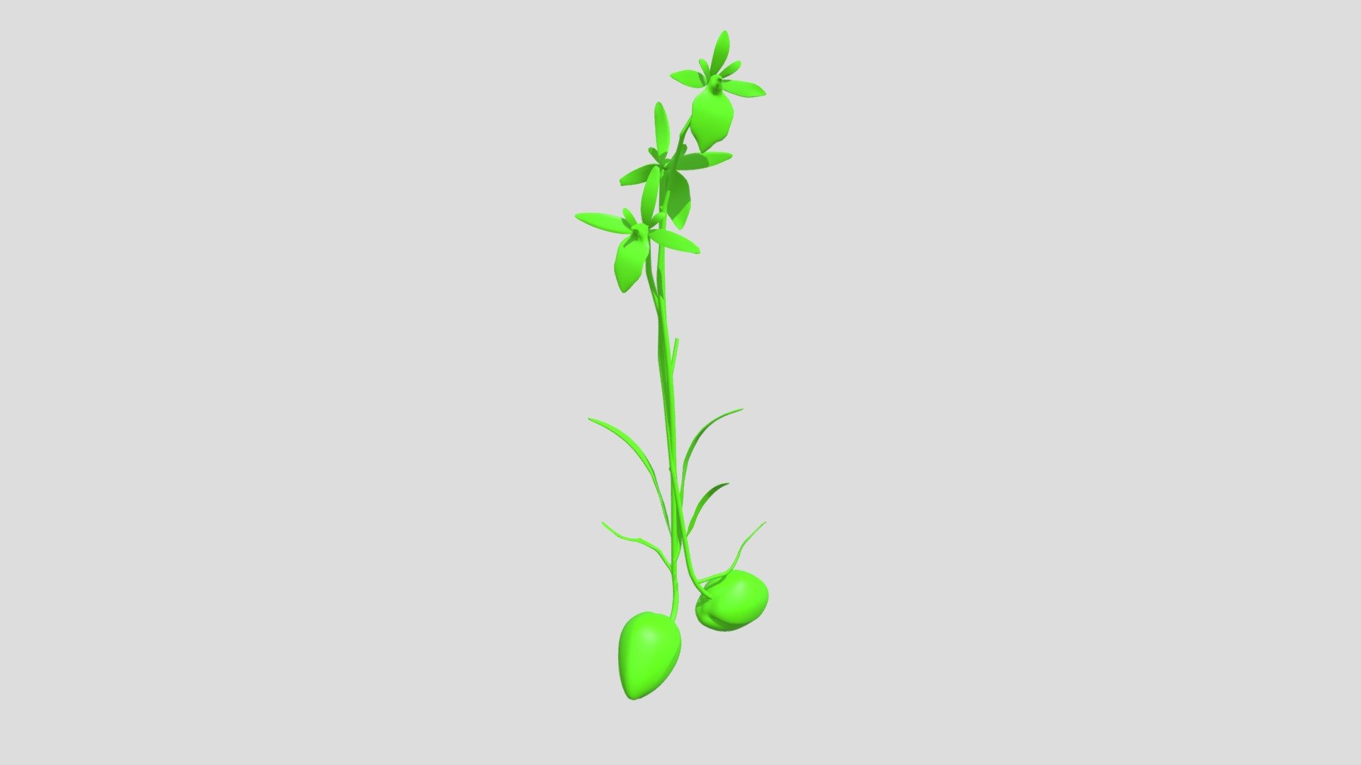1 Green - Download Free 3D model by liga.velina [0b7a771] - Sketchfab