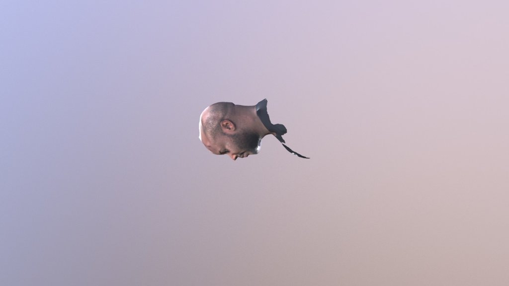 James head - Download Free 3D model by jimjamdam [0b7b767] - Sketchfab
