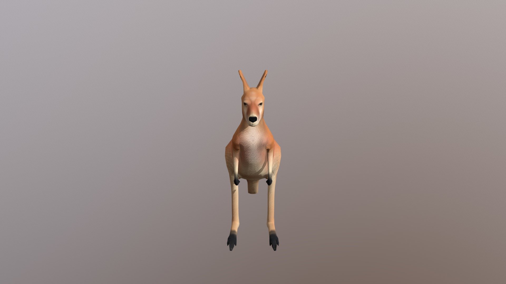 Red Kangaroo - Art Test - 3D model by Rilgs [0b8e357] - Sketchfab