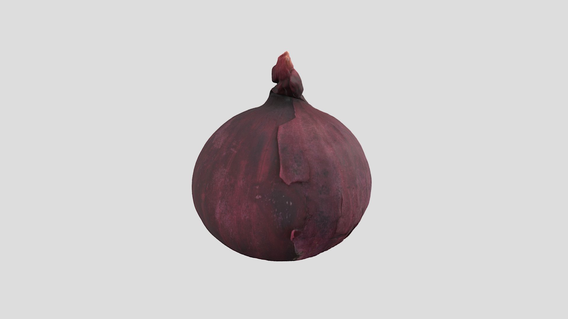 3D Scan - Onion 1 - Buy Royalty Free 3D model by SavingThrw [0b908ab ...