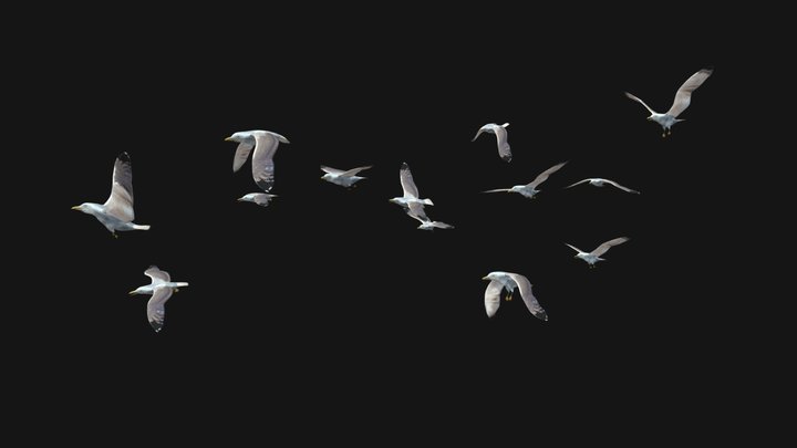 Animated 3D models - Sketchfab