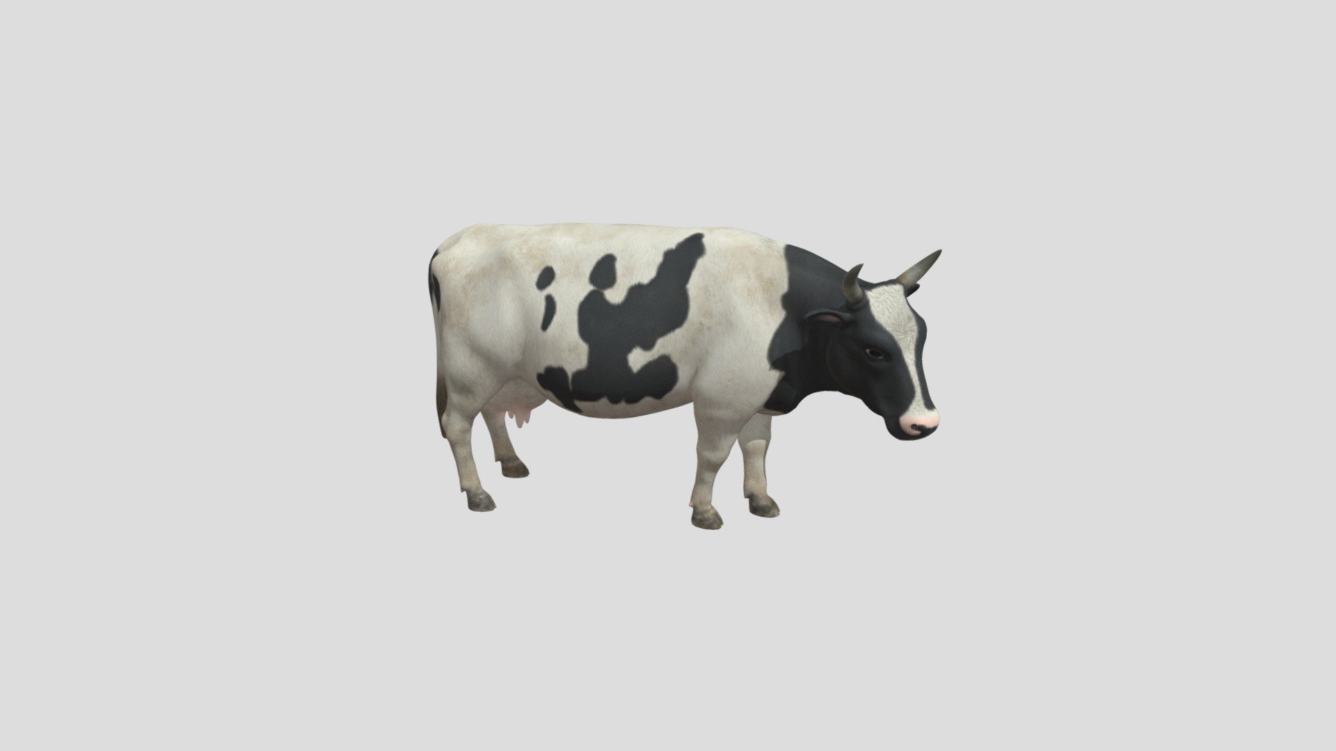Sapi - 3D model by frisiloctavia [0b95a1b] - Sketchfab