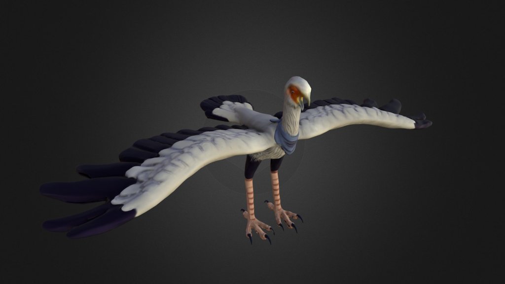 Secretary Bird - 3D model by RedSorrel [0ba074c] - Sketchfab