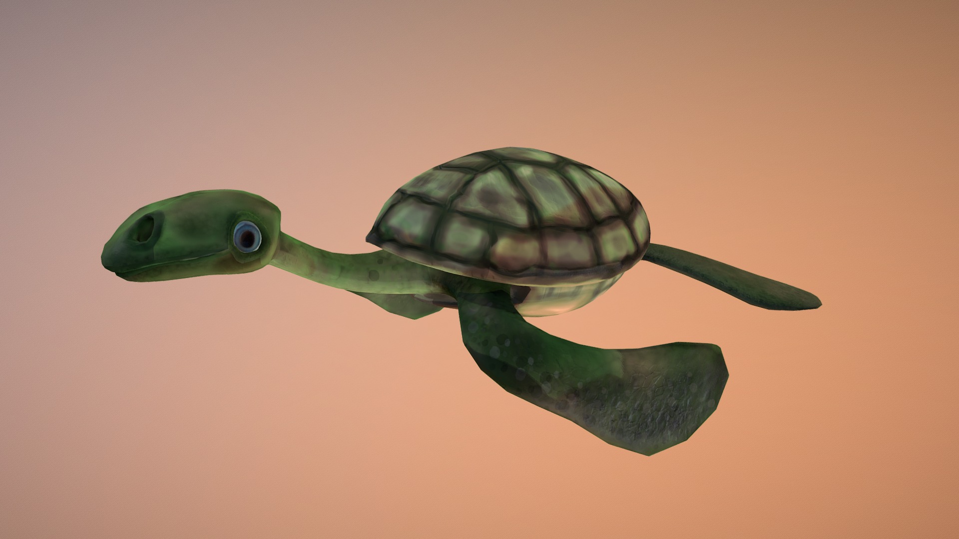 Turtle - 3D model by Bhavesh22 [0ba3d06] - Sketchfab