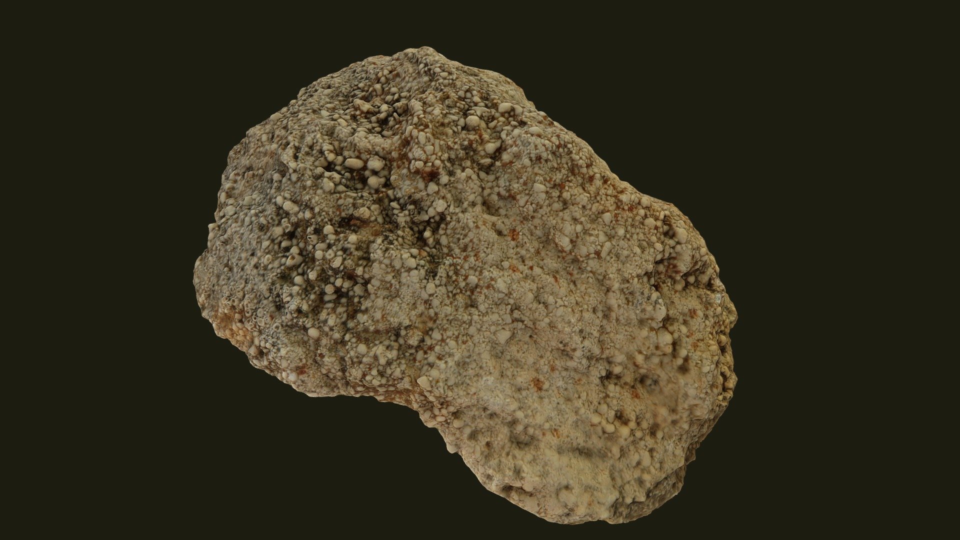 Oolitic grainstone - Download Free 3D model by Sara Carena ...