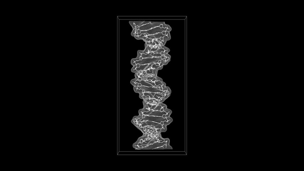 DNA Tower - 3D model by Crystal Proteins (@bathsheba) [0bb452d] - Sketchfab