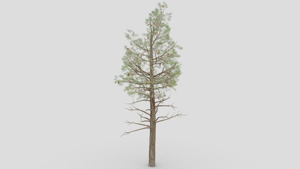 tree_gen - A 3D model collection by daa_shiiiii - Sketchfab