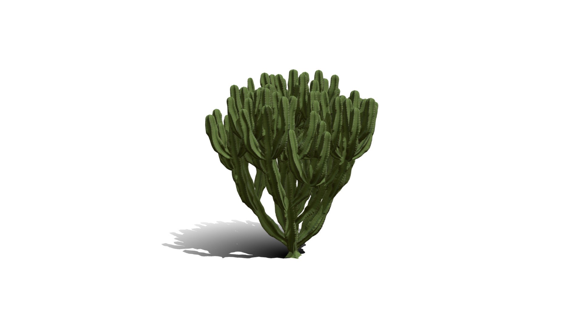 Realistic HD Candelabra tree (38/40) - Download Free 3D model by ...