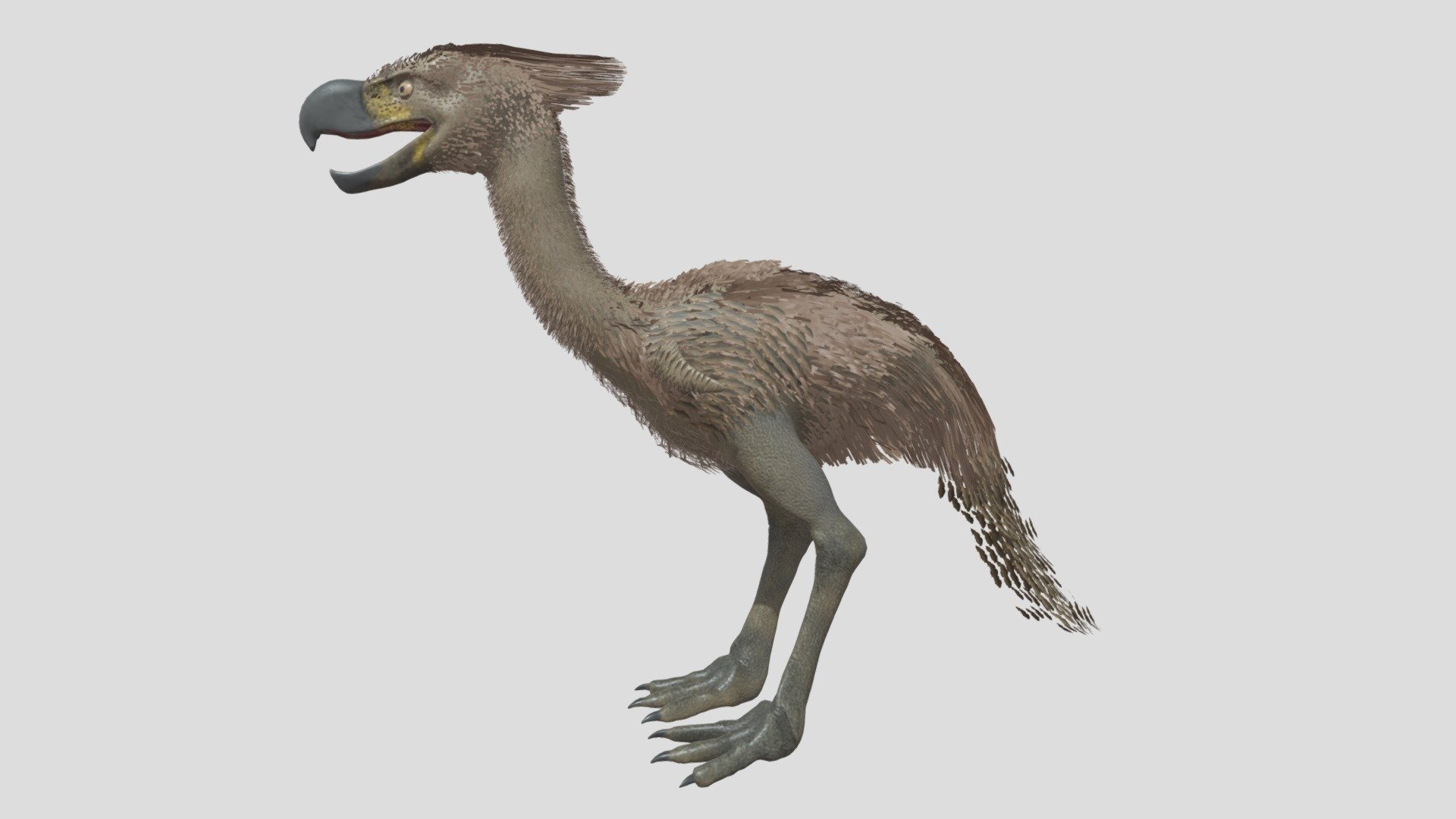 Terror Bird Rigged - Buy Royalty Free 3D model by arshad irfan ...