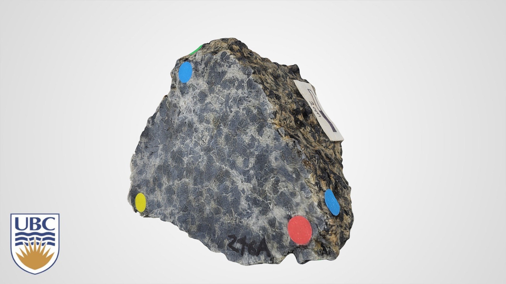 Skaergaard intrusion LZb* (SEB87-246A) - 3D model by Nichole Moerhuis ...