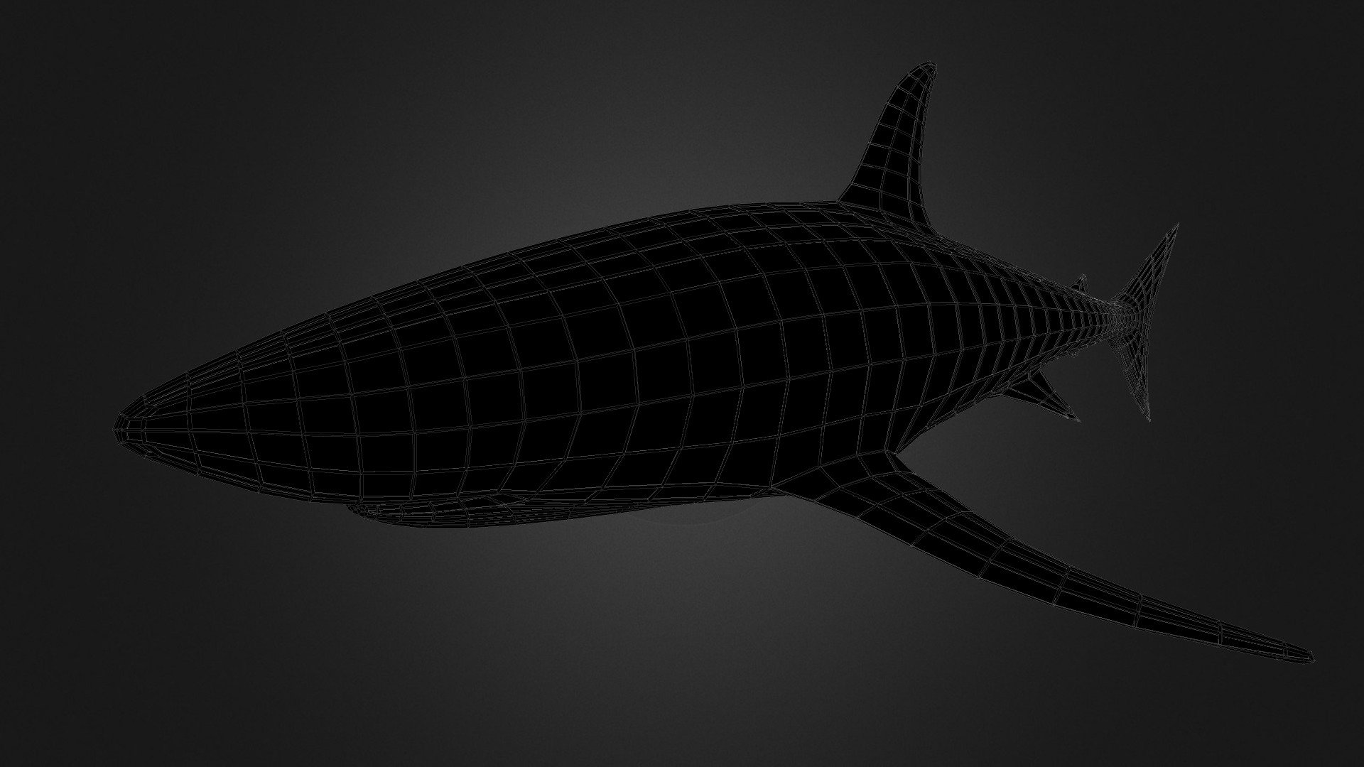 Shark - Download Free 3D model by Marcel (@marcelschweiger) [0be186e ...