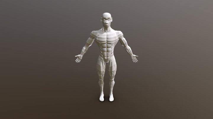 Muscle-anatomy 3D models - Sketchfab