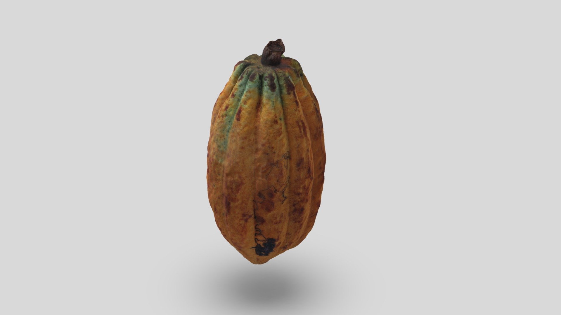 Cacao - 3D model by Maxim.L [0be8f4f] - Sketchfab