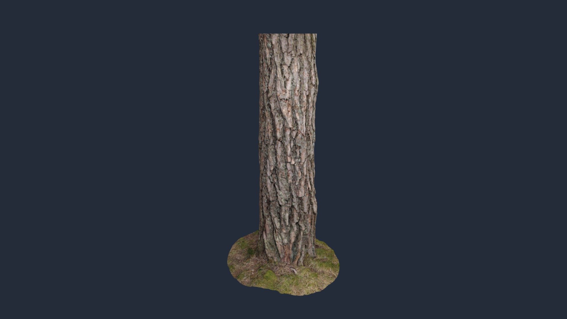 Big Tree Stem - Download Free 3D model by 3DLandskap.no (@3dlandskap ...