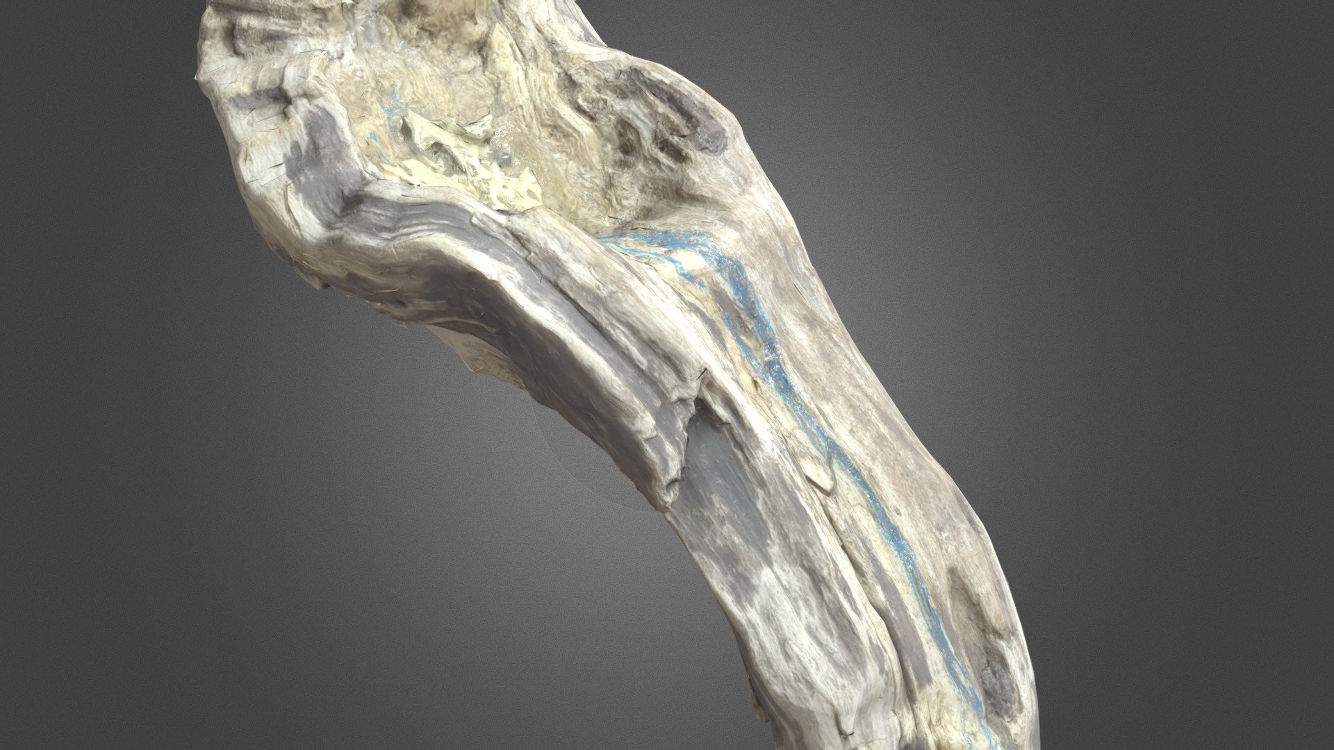 Photogrammetry. Object “Snag” - 3D model by Anastasy Razmanova (@kerka ...